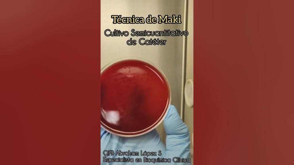 El Arte de Hacer Maki: Tu Guía Completa | 9 Geishas